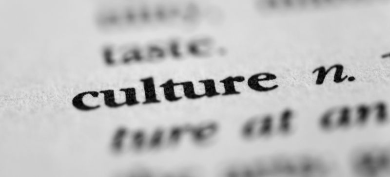 Great Brands Put Culture First | McKee Wallwork Insights